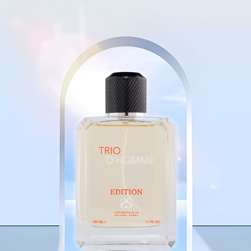 TRIO D’HOMME by Symphony Eau De Parfum, 100ml 3.4oz, Inspired by Terre ...