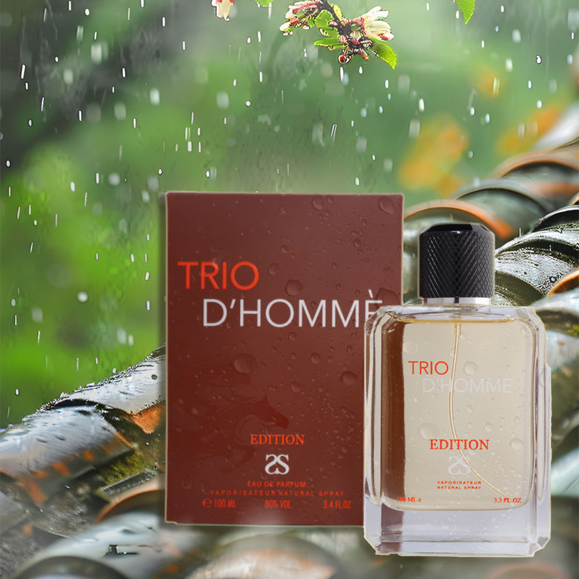 TRIO D’HOMME by Symphony Eau De Parfum, 100ml 3.4oz, Inspired by Terre ...