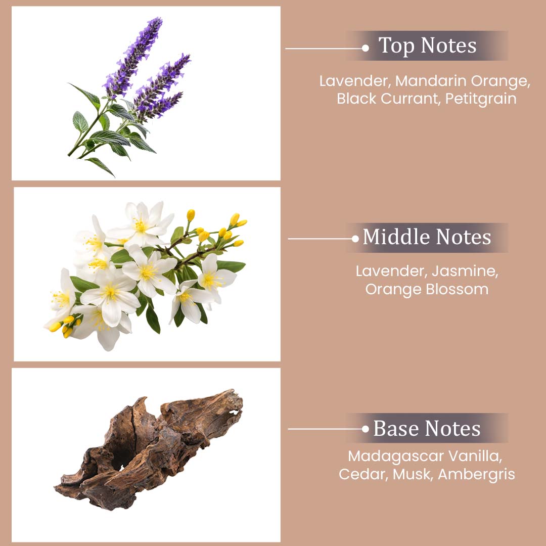 Liberty by Symphony– Inspired by Libre YSL | Women's Perfume